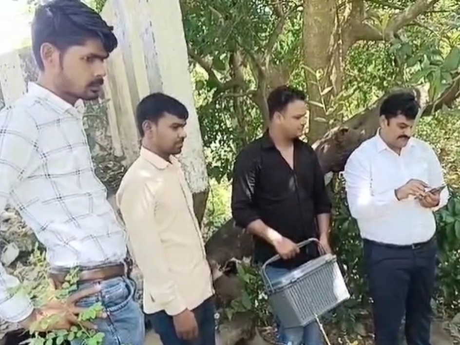 Rare species of snake seen in Dudhwa Tiger Reserve, VIDEO | दुधवा टाइगर ...