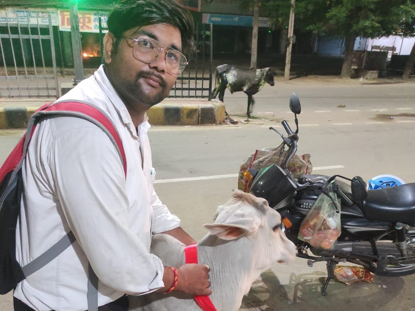 Bawani Khera animals neck around of Radium belt tied | बवानी खेड़ा में ...