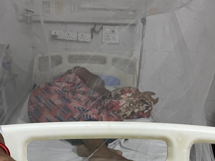 UP - Lucknow - Dengue attack intensifies in Lucknow, 21 cases reported ...