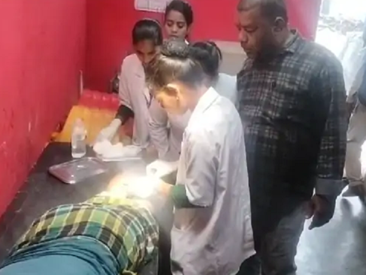 Chhattisgarh Fox Lomdi Attack Update | Mungeli News | छत्तीसगढ़ में ...