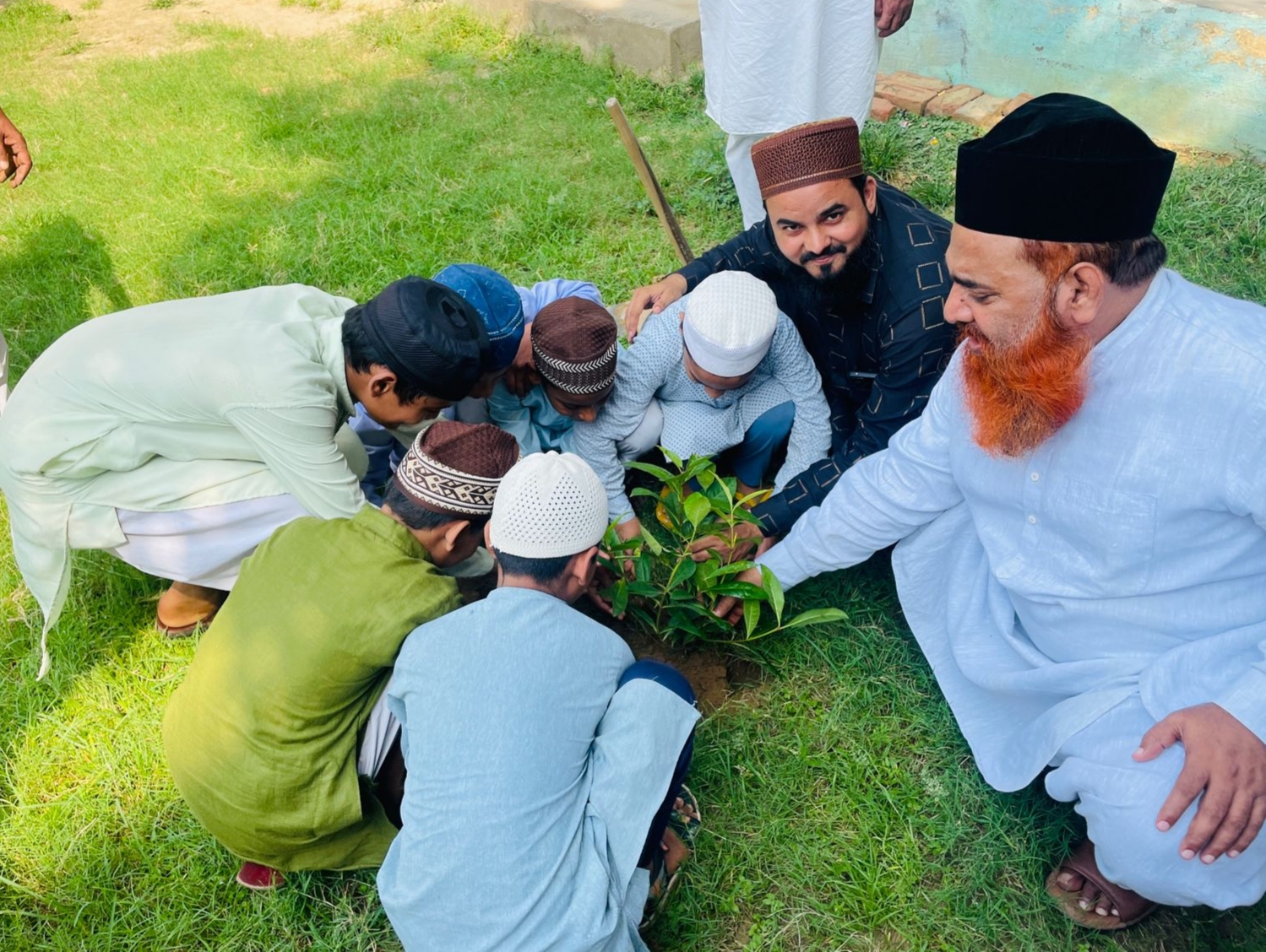 Gandhi Jayanti celebrated planting trees in madrasa | मदरसे में पौधे ...