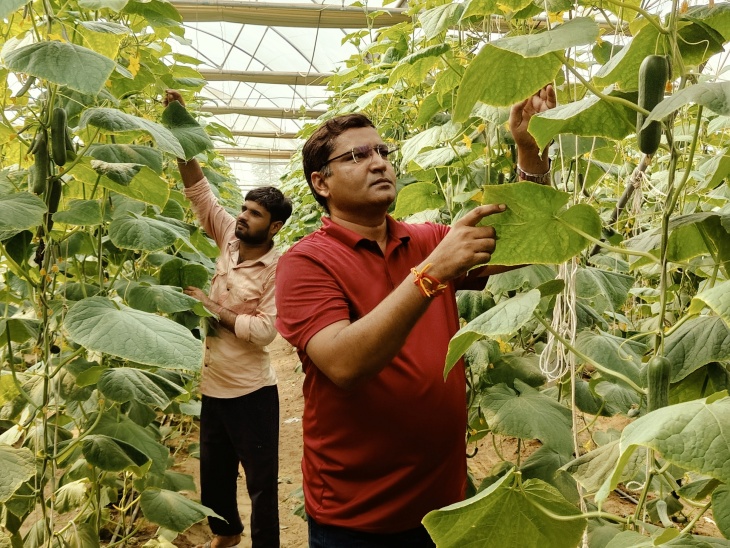 Polyhouse Farming; Jaipur Kisan Suresh Kumar Tanwar Success Story ...