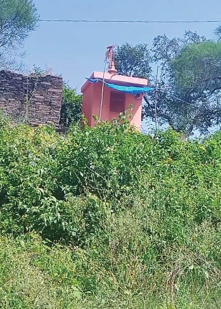 Udaipur Leopard Attack Victims Story; Gogunda Village | Rajasthan ...