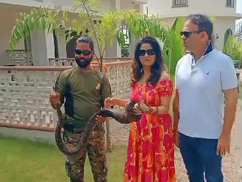 8 feet long python found in Shivpuri resort | शिवपुरी के रिसोर्ट में ...