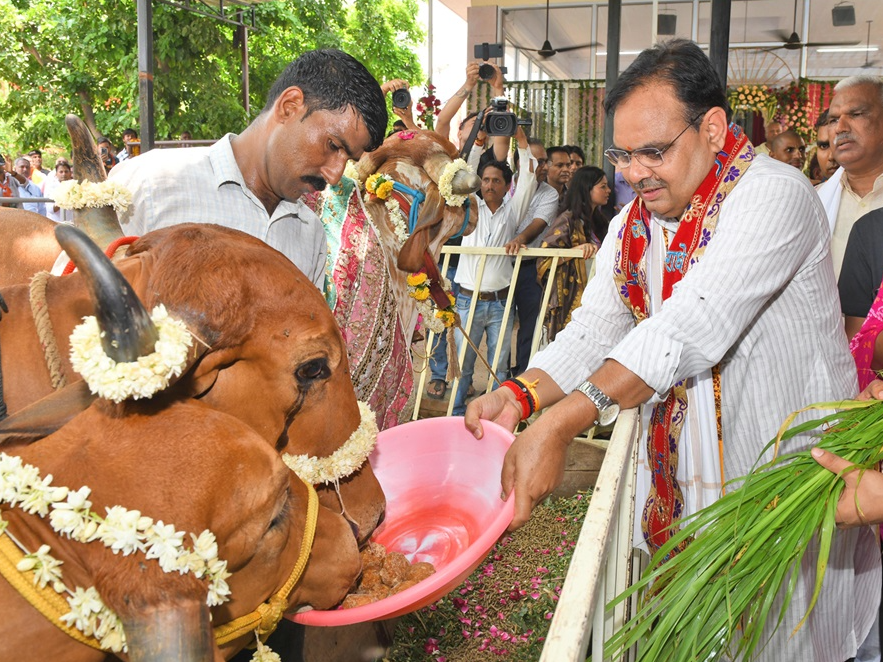 Government is preparing to give the status of State Mother to cow ...