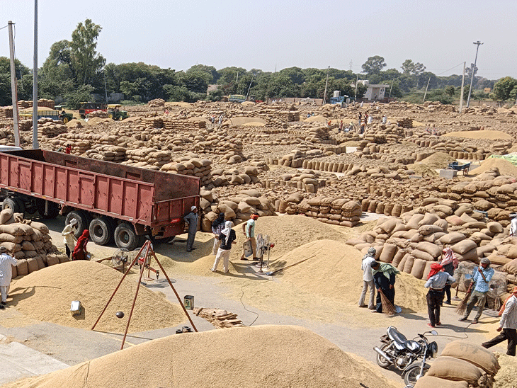 Haryana INLD MLA Aditya Chautala Visit Anaj Mandi Village Chautala ...