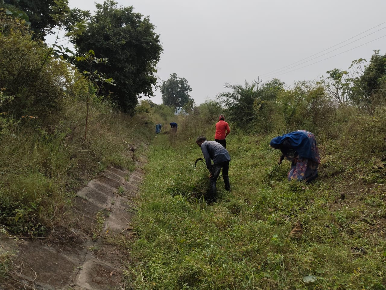 cleaning of canal of rampur dam started | रामपुरा डैम की नहर की सफाई ...