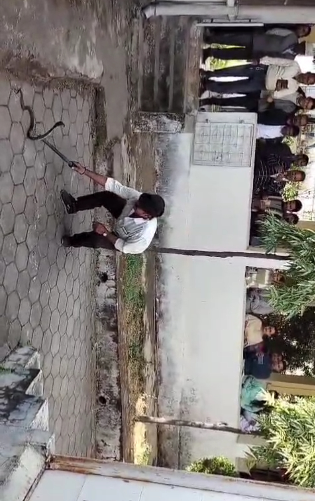 A 3 feet long snake entered Sagar University