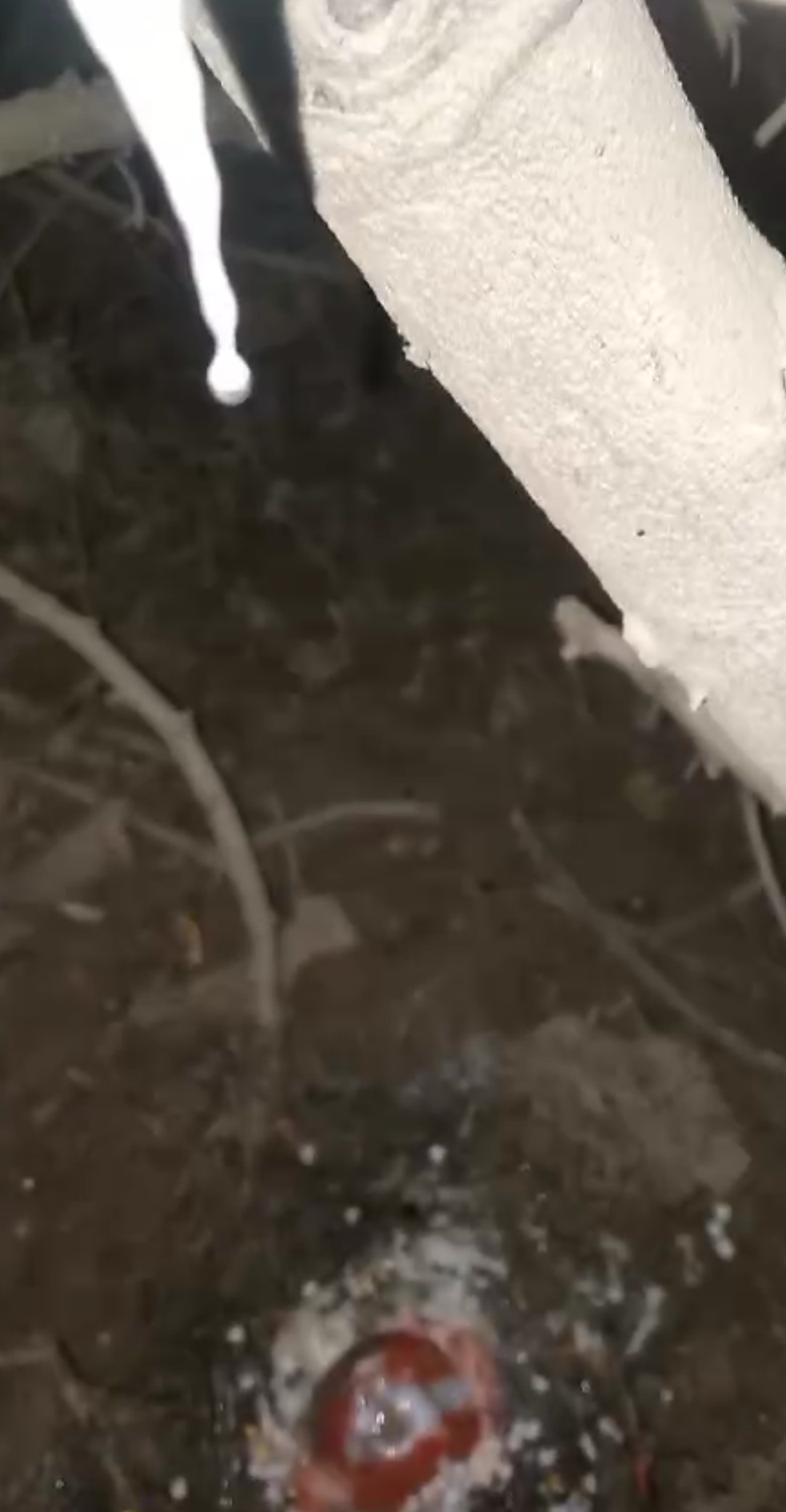 Lord Shankar's Pindi found in Noorabad of Morena | मुरैना के नूराबाद ...