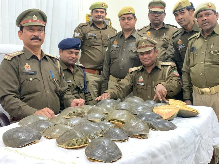 GRP-RPF caught turtles from Varanasi Cantt station 35 live turtles ...