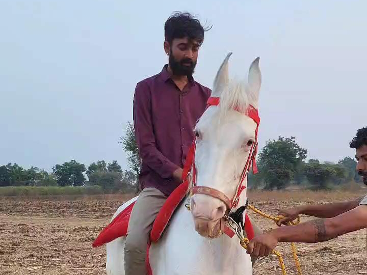 A mare died after being hit by a tempo in Barwani | बड़वानी में टेंपो ...