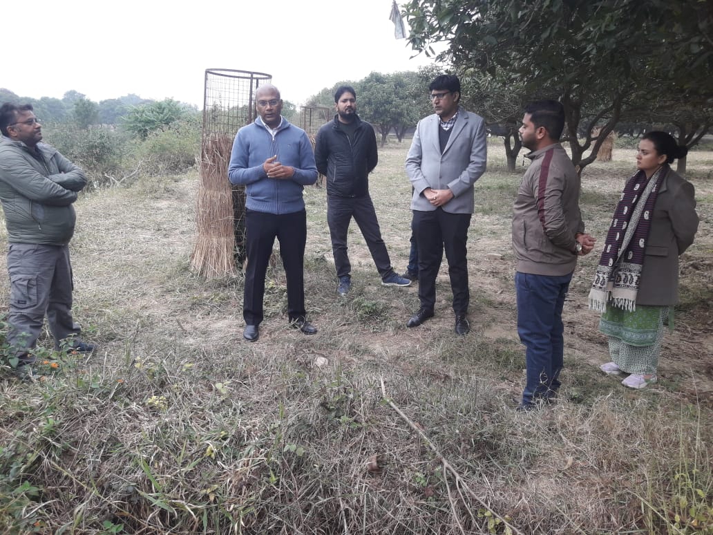Tiger returns to CISH campus in Rehman Kheda, Lucknow