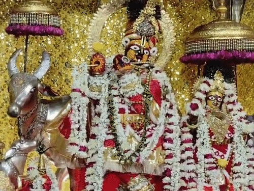 Rajasthan News, On the first day of 2025, a flood of devotion swelled ...