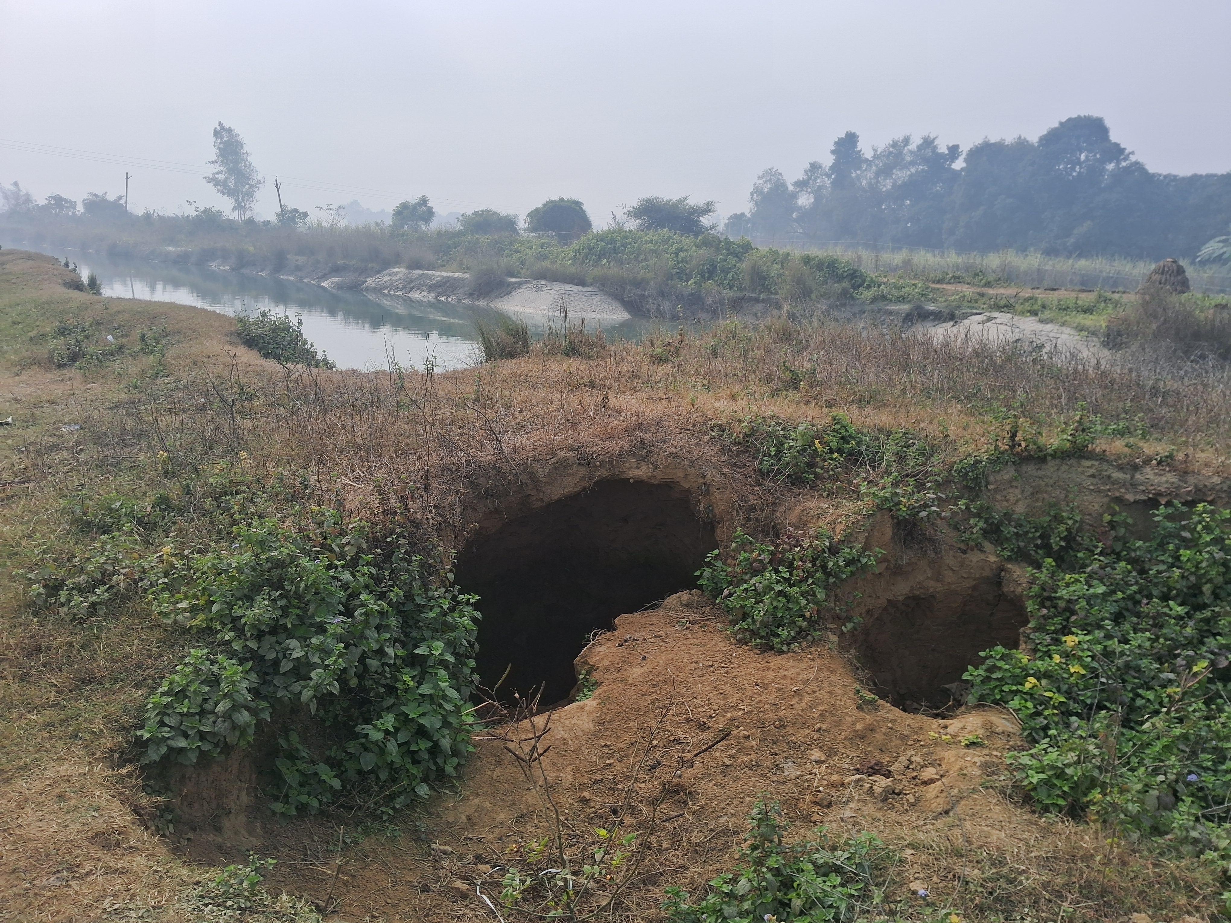 Soil disappearing from the surface of the canal in Gola