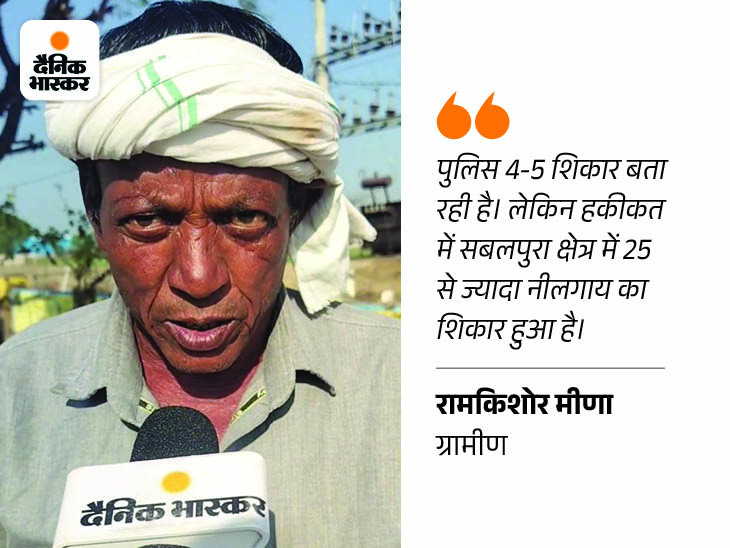 Rajasthan Jaipur Chomu Nilgai Poaching Case | Kishan Bawaria Gang | थार ...