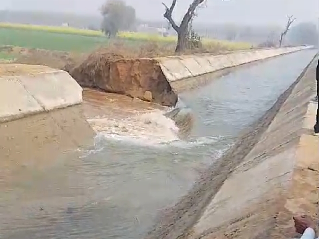 Fatehabad Bhattu area Khedi minor broken water wheat fields | फतेहाबाद ...