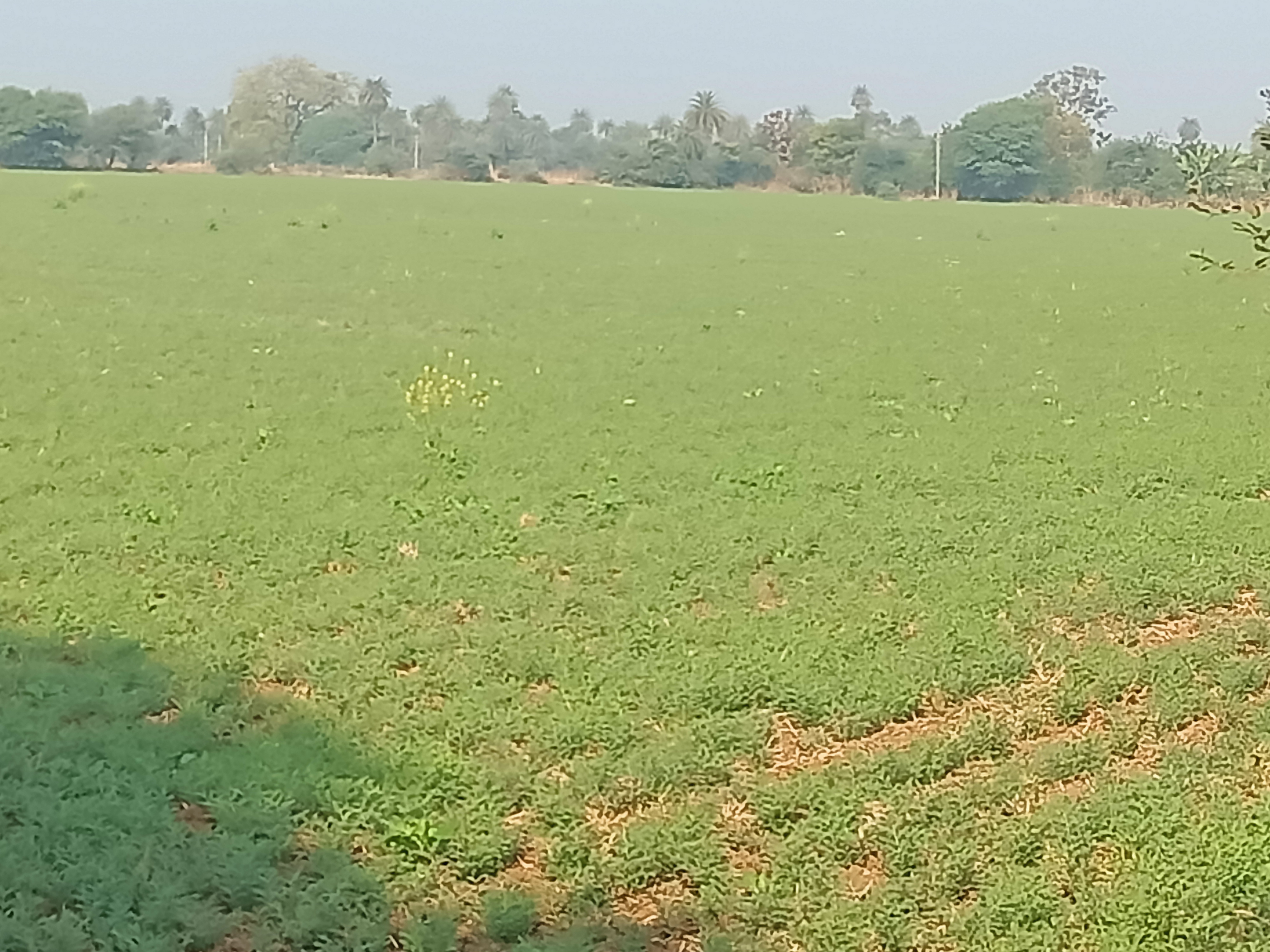 Big difference in day and night temperature in Vidisha | विदिशा में दिन ...