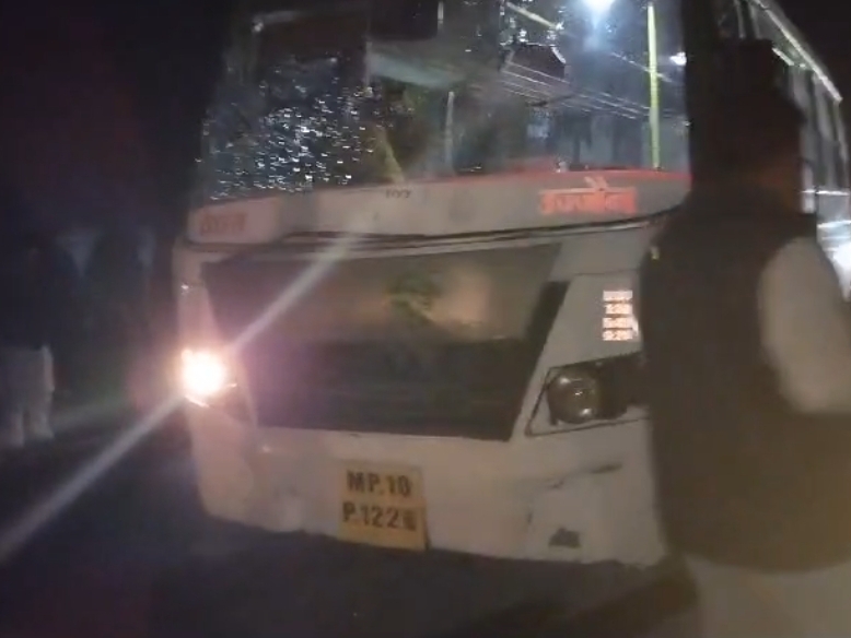 Passenger bus crushes sheep in Dewas | देवास में यात्री बस ने भेड़ों को ...