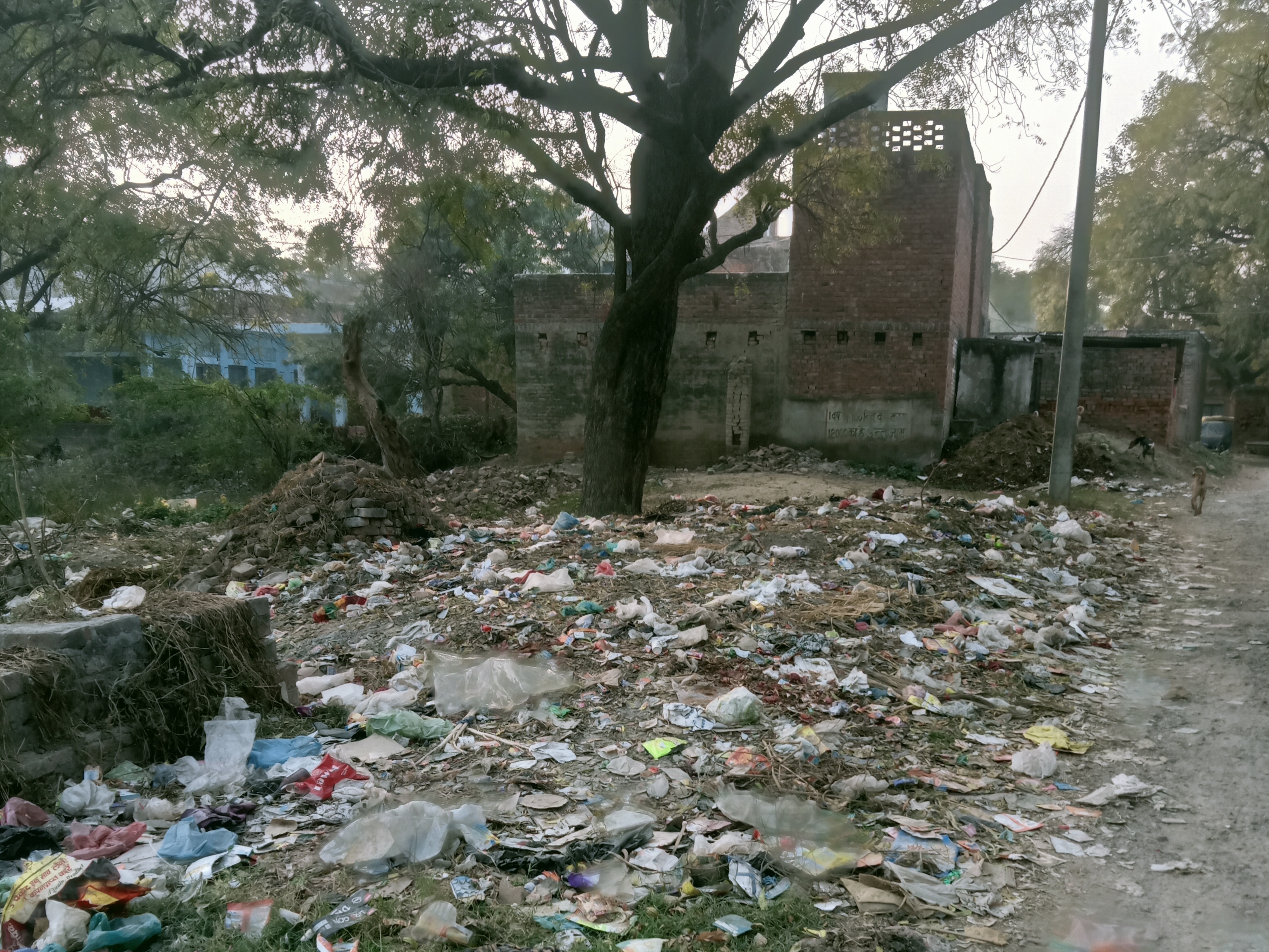 Dirt in Tedha village poses risk of diseases