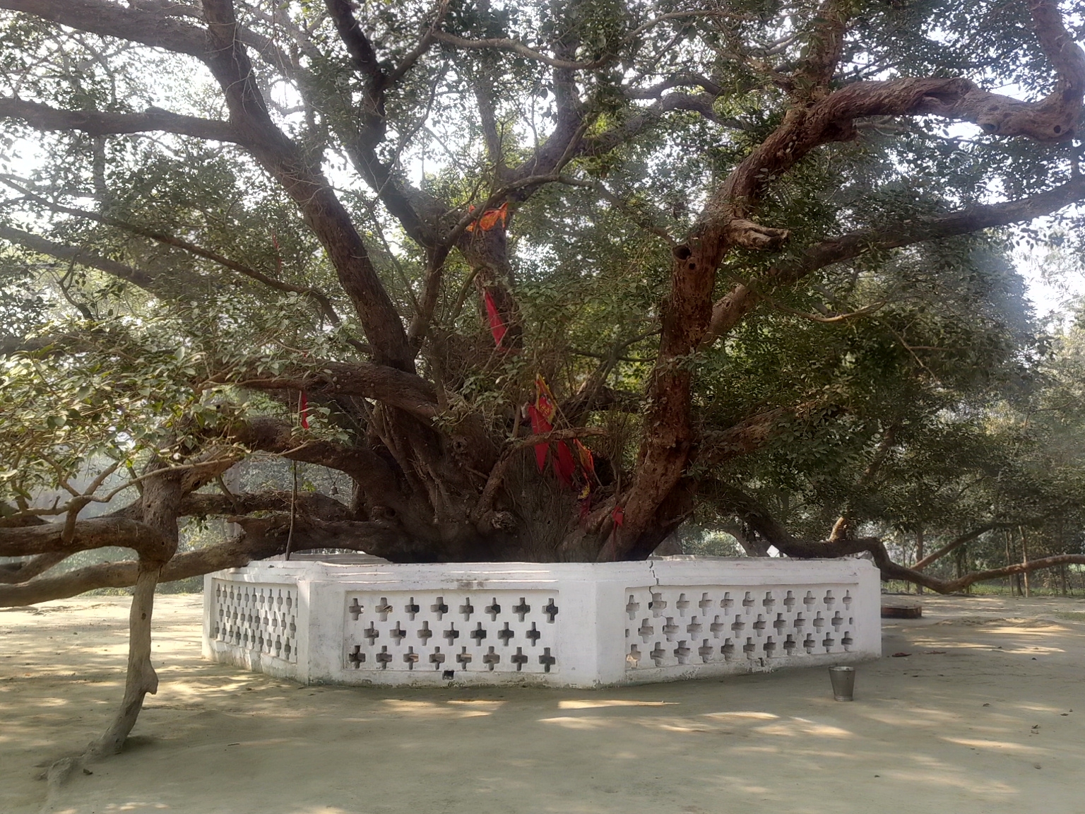 The unique tradition of Siddha Baba Temple of Chhatauni