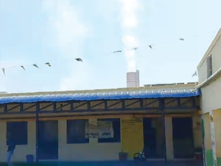 Rajasthan Kota CFCL Gas Leakage; Kota CFCL Kand | Kota Chambal ...