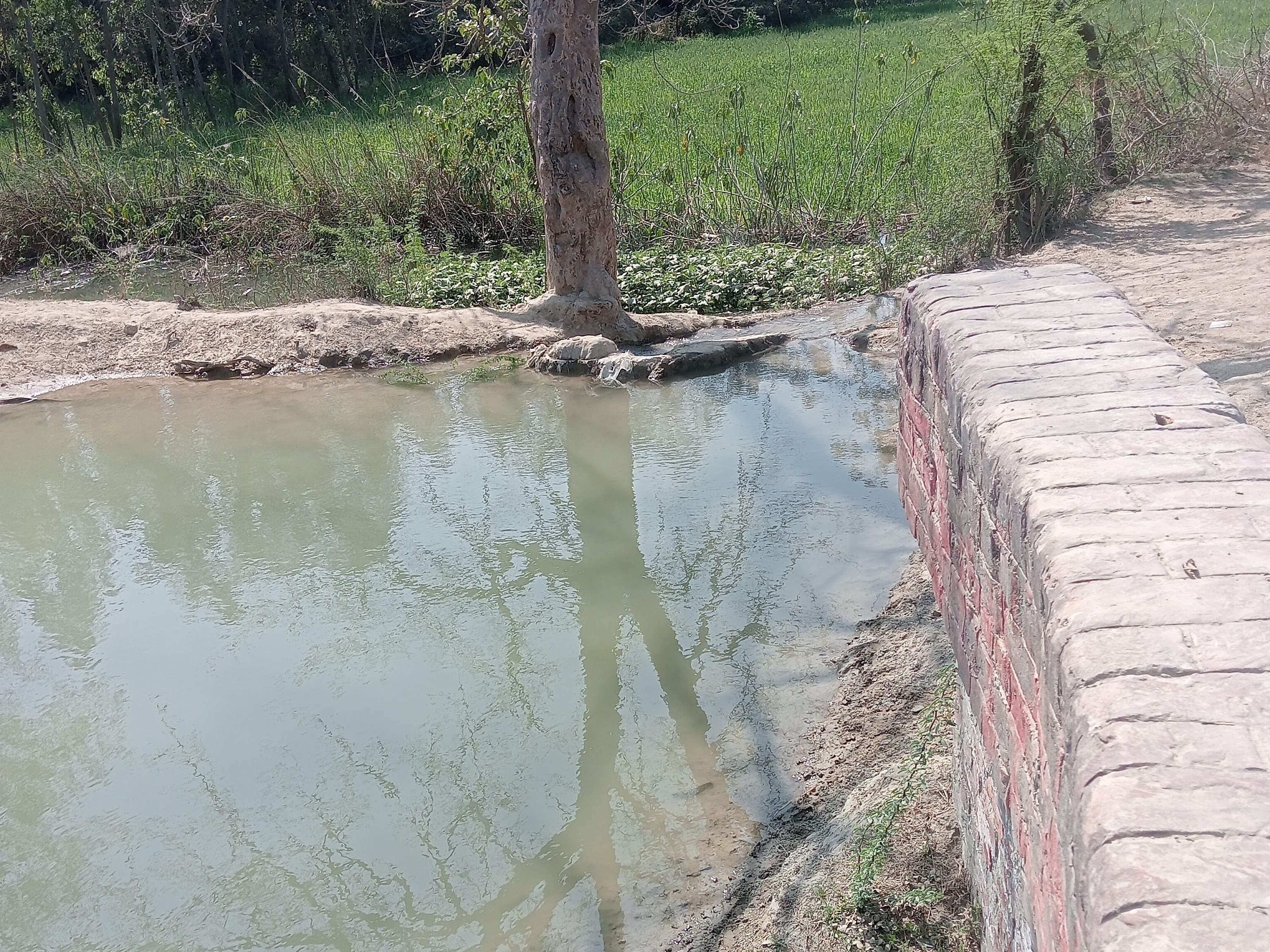 The water level of Sharda Canal is above the danger mark