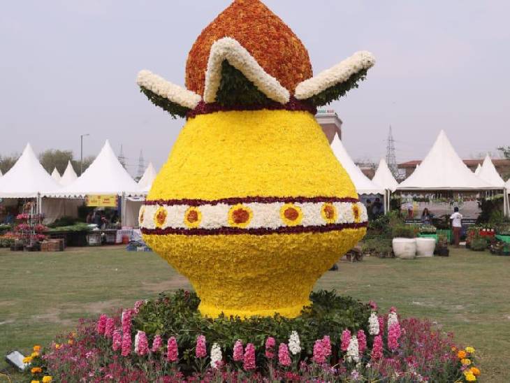Flower show from today in Noida 100 species of flowers planted, 2.5 ...