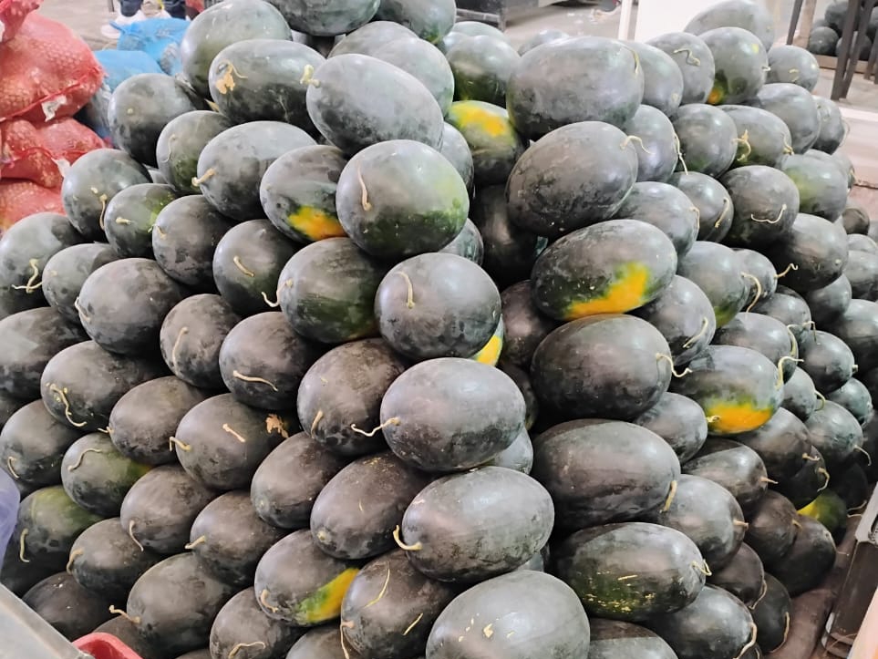 Bumper arrival of fruits in Indore market