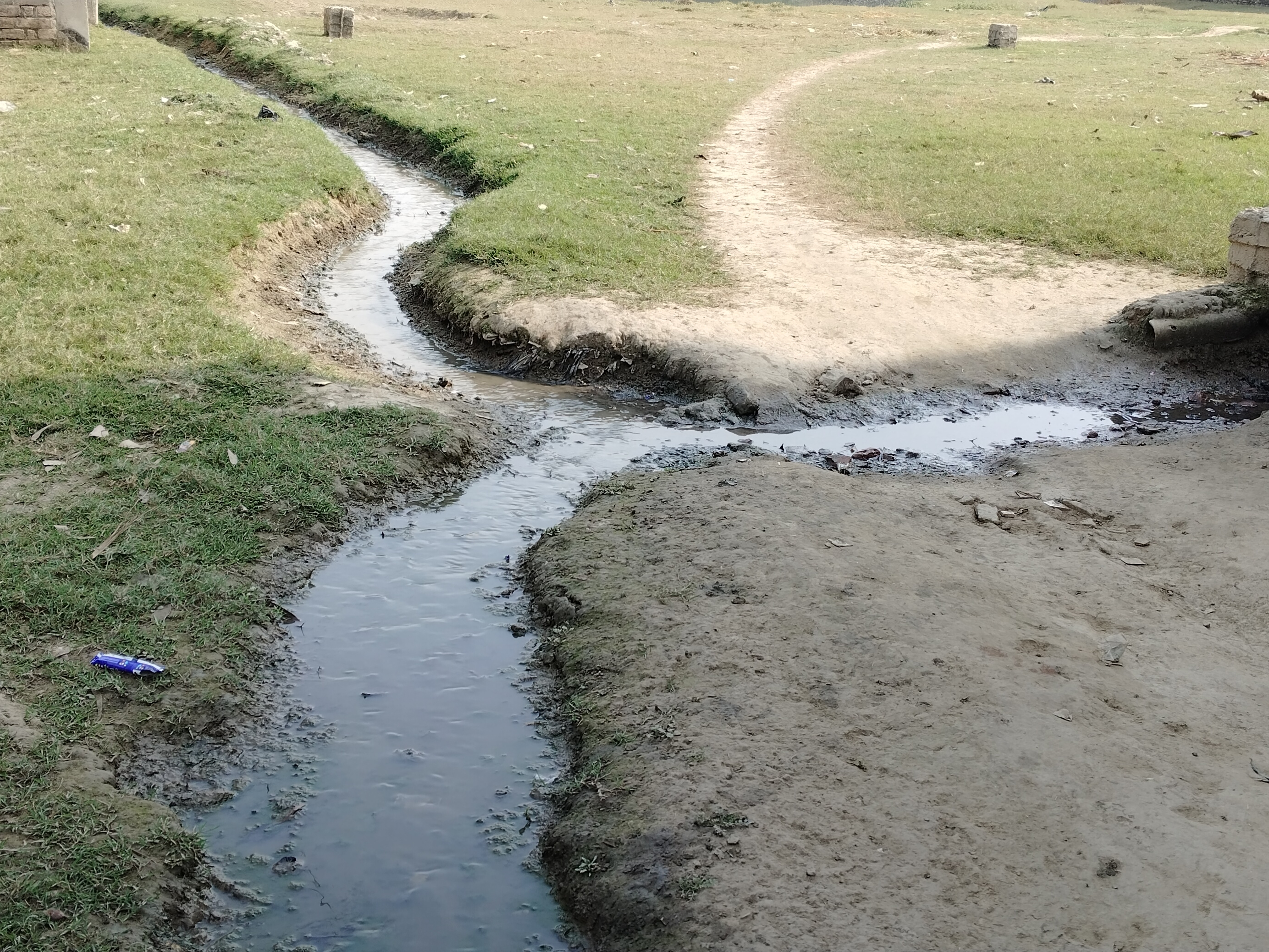 Drains and ditches were not built in the new colony of Saidanpur