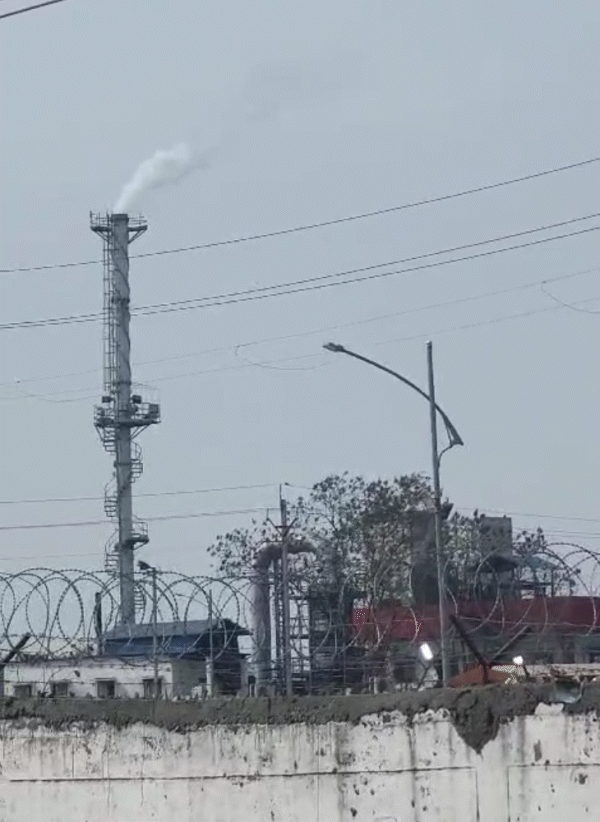 White pigeons marked and released to test pollution - Madhya Pradesh ...