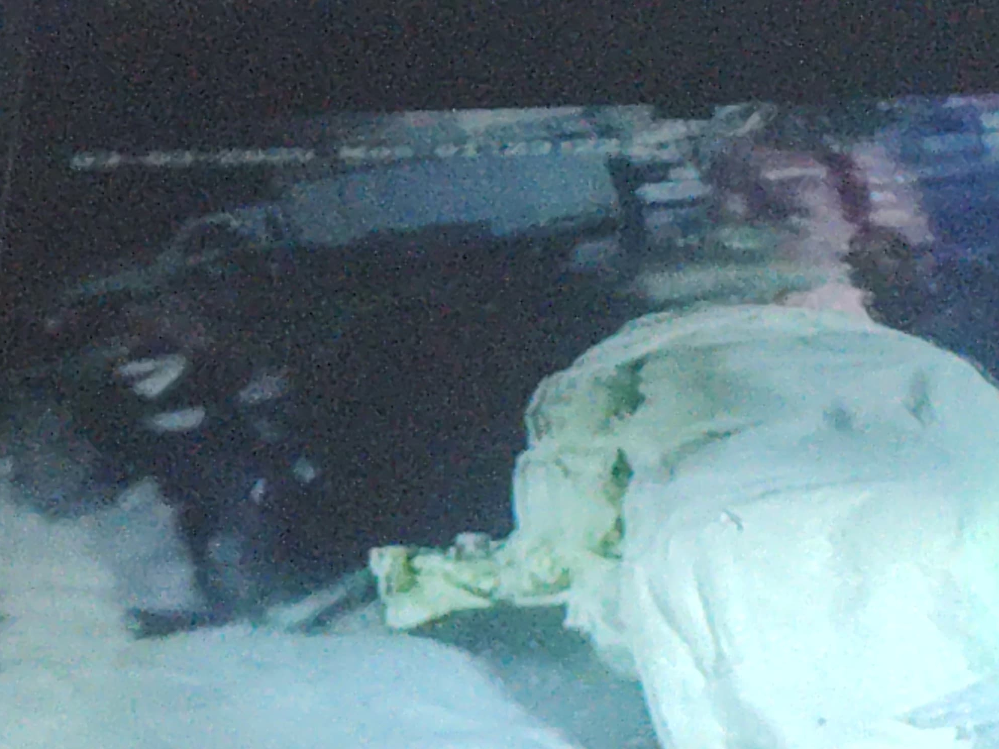 Muzaffarnagar's 'vegetable thief', robbery of garlic, onion and brinjal ...