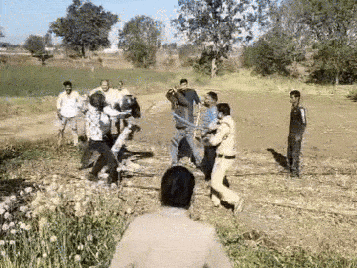 Video of a fight during a bullock cart race in Mhow