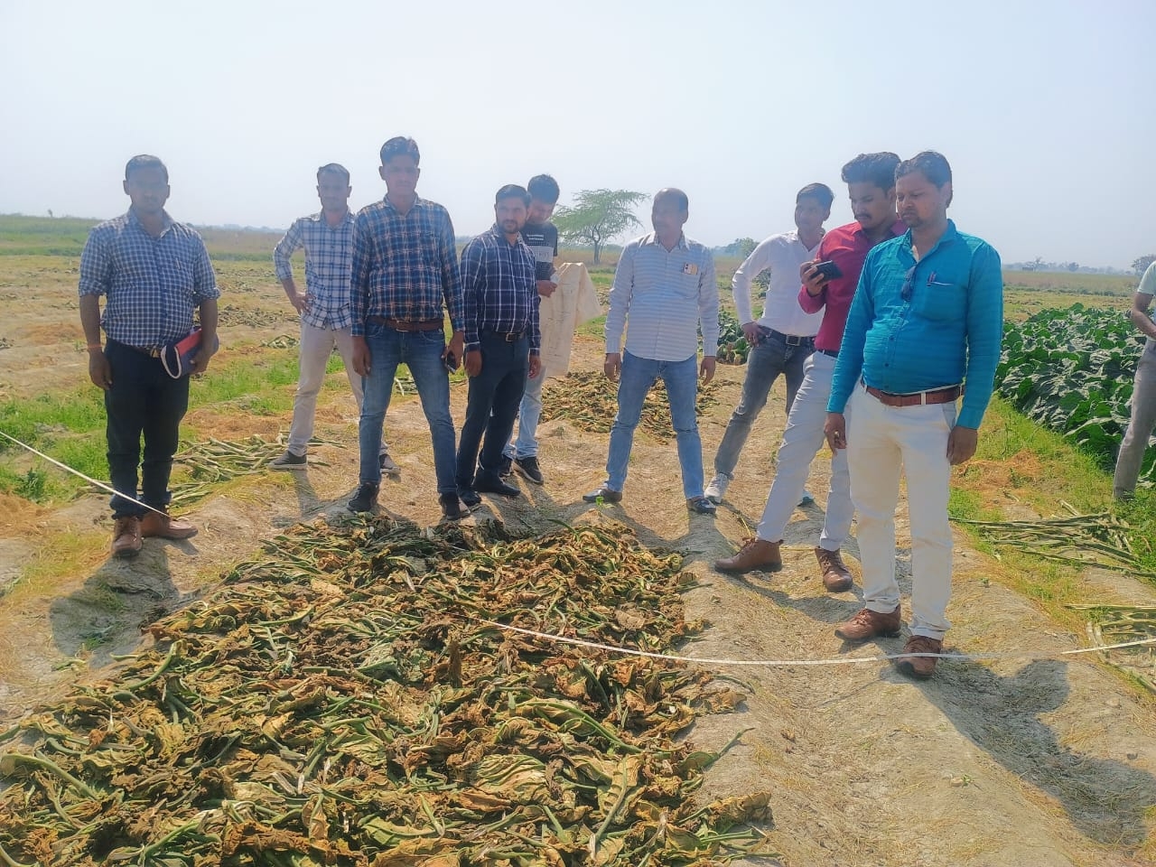 Tree plantation will be done on the vacant land of Jungle Thaka in Etah