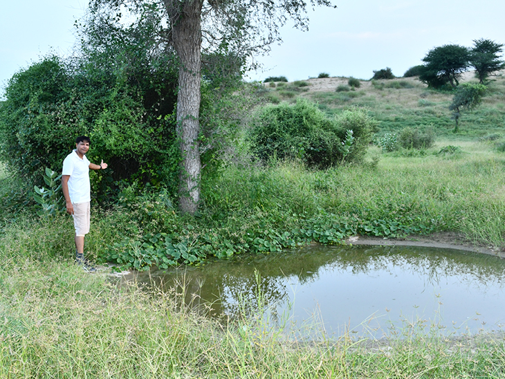 Rajasthan Forest; Professor Shyam Sundar Jyani Story | Familial Forestry
