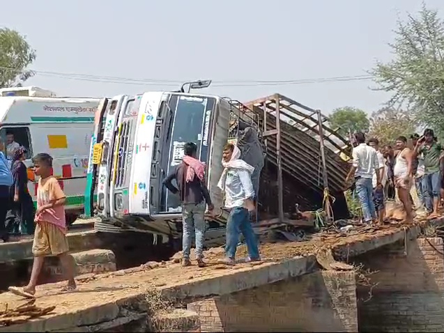 A mini truck loaded with cattle fell into the canal | नहर में गिरा मिनी ...