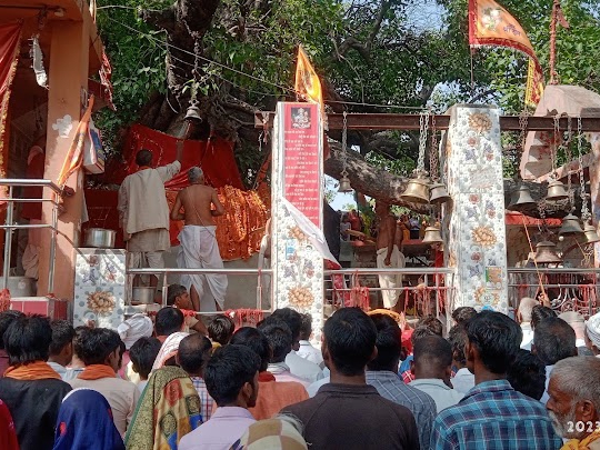 Crowd of devotees at Batora Baba temple on Tuesday