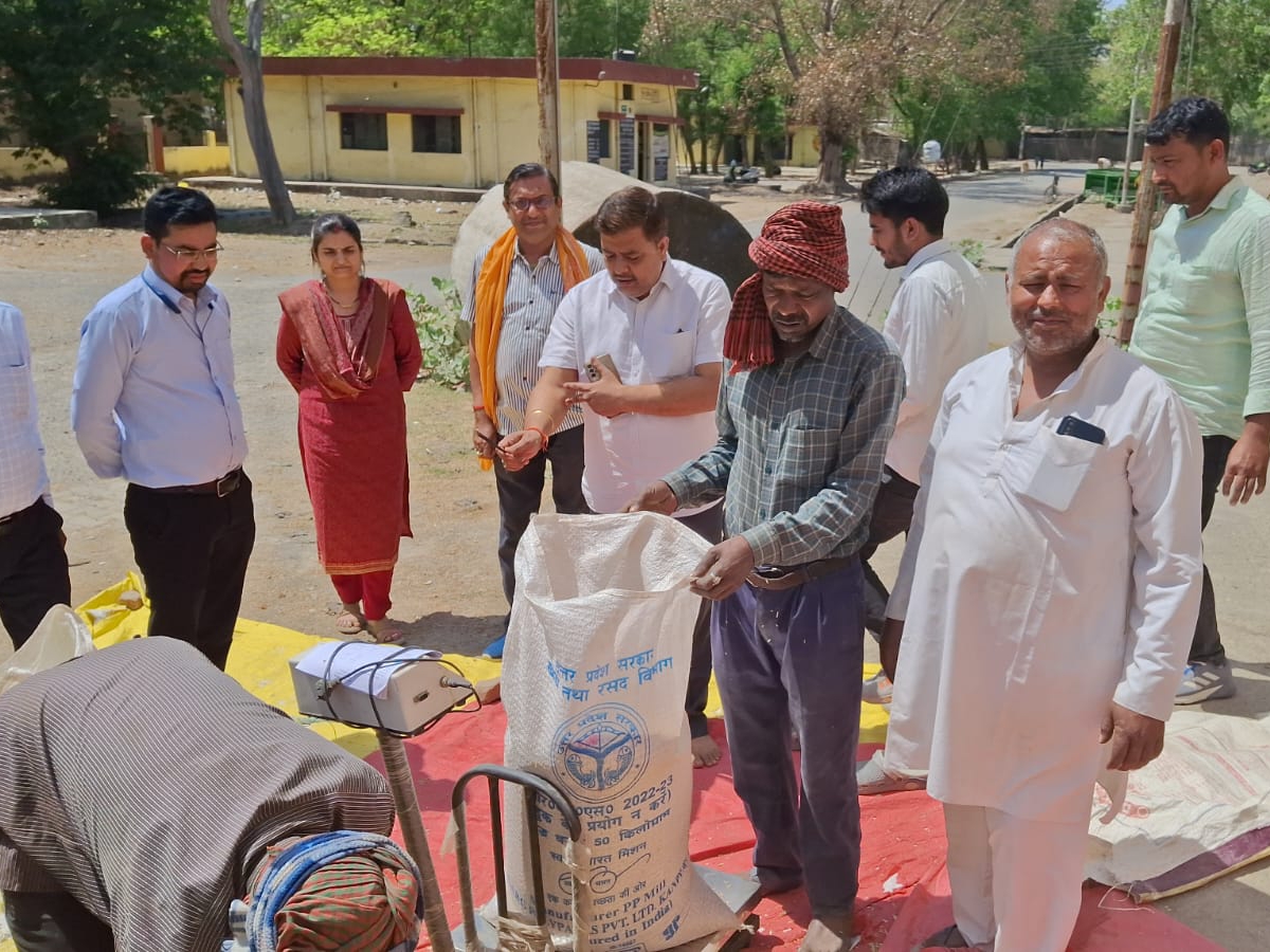 Wheat purchase started in Mandi Samiti | मंडी समिति में गेहूं खरीद शुरू ...