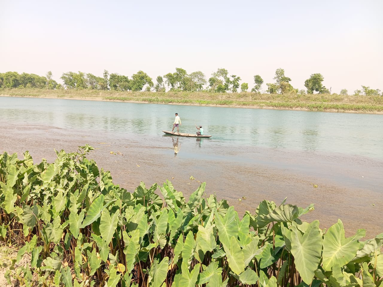 A young man drowned in the Sharda canal in Nighasan | निघासन में शारदा ...
