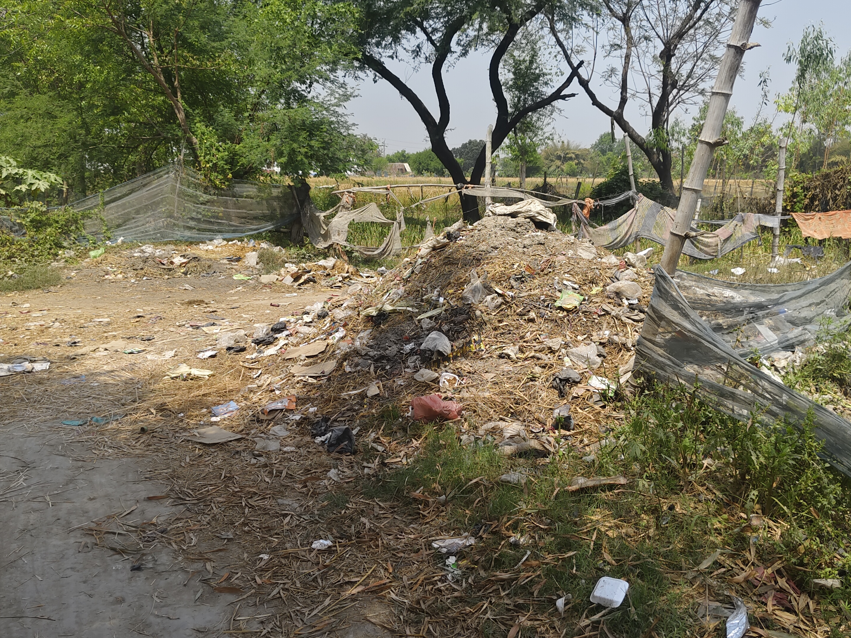 People are throwing garbage on the roads in Partapur, ignoring ...