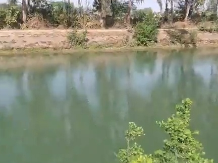 Karnal-elderly-man-rescued-Bhakra-canal-Dabri-village-update | करनाल ...
