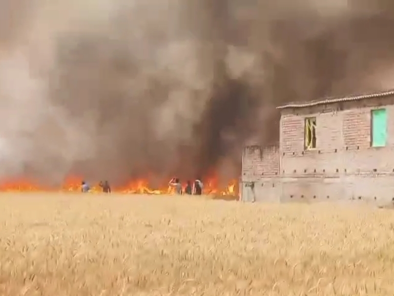 Massive fire in wheat crop | गेहूं की फसल में लगी भीषण आग: निचलौल के ...