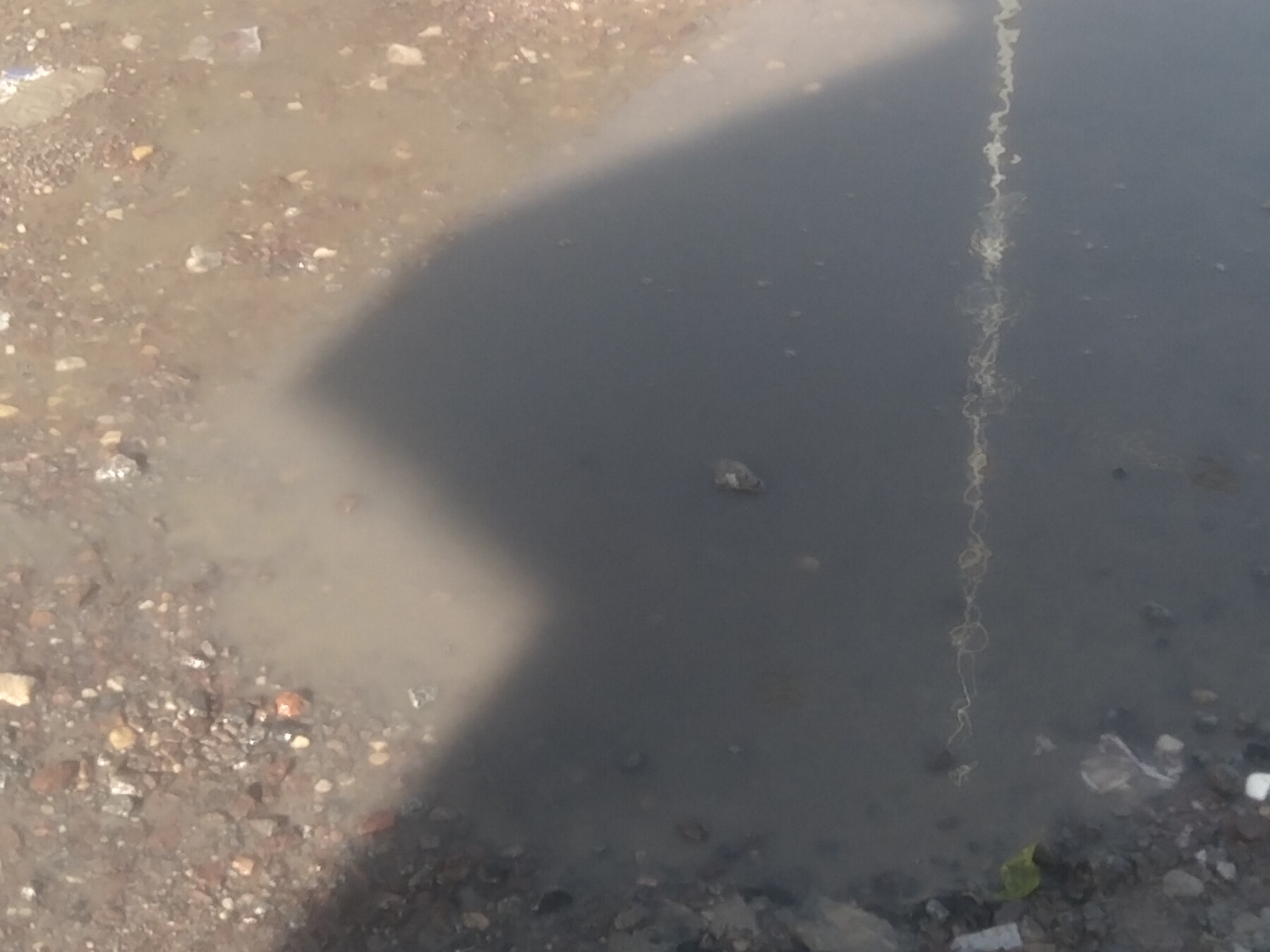 Waterlogging under the overbridge in Ranimau | रानीमऊ में ओवरब्रिज के ...