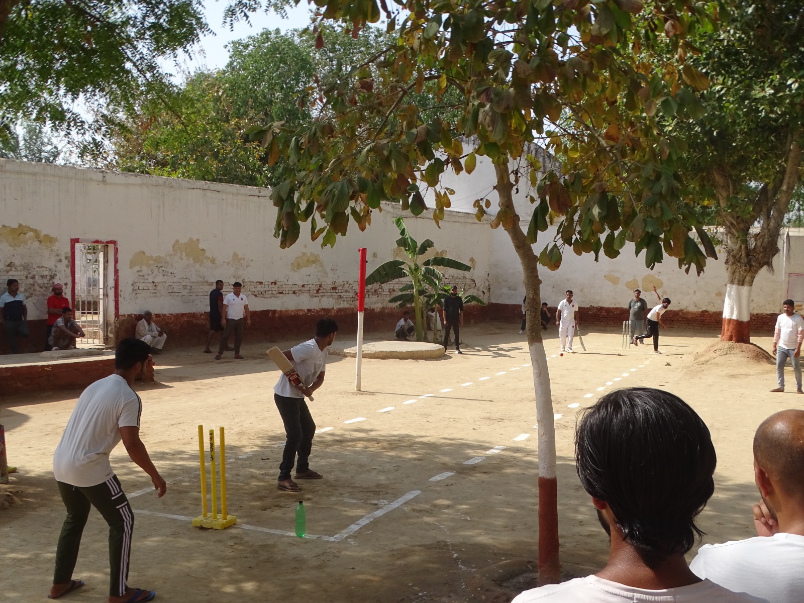 Cricket Champions League begins in Mathura Jail | मथुरा जेल में क्रिकेट ...