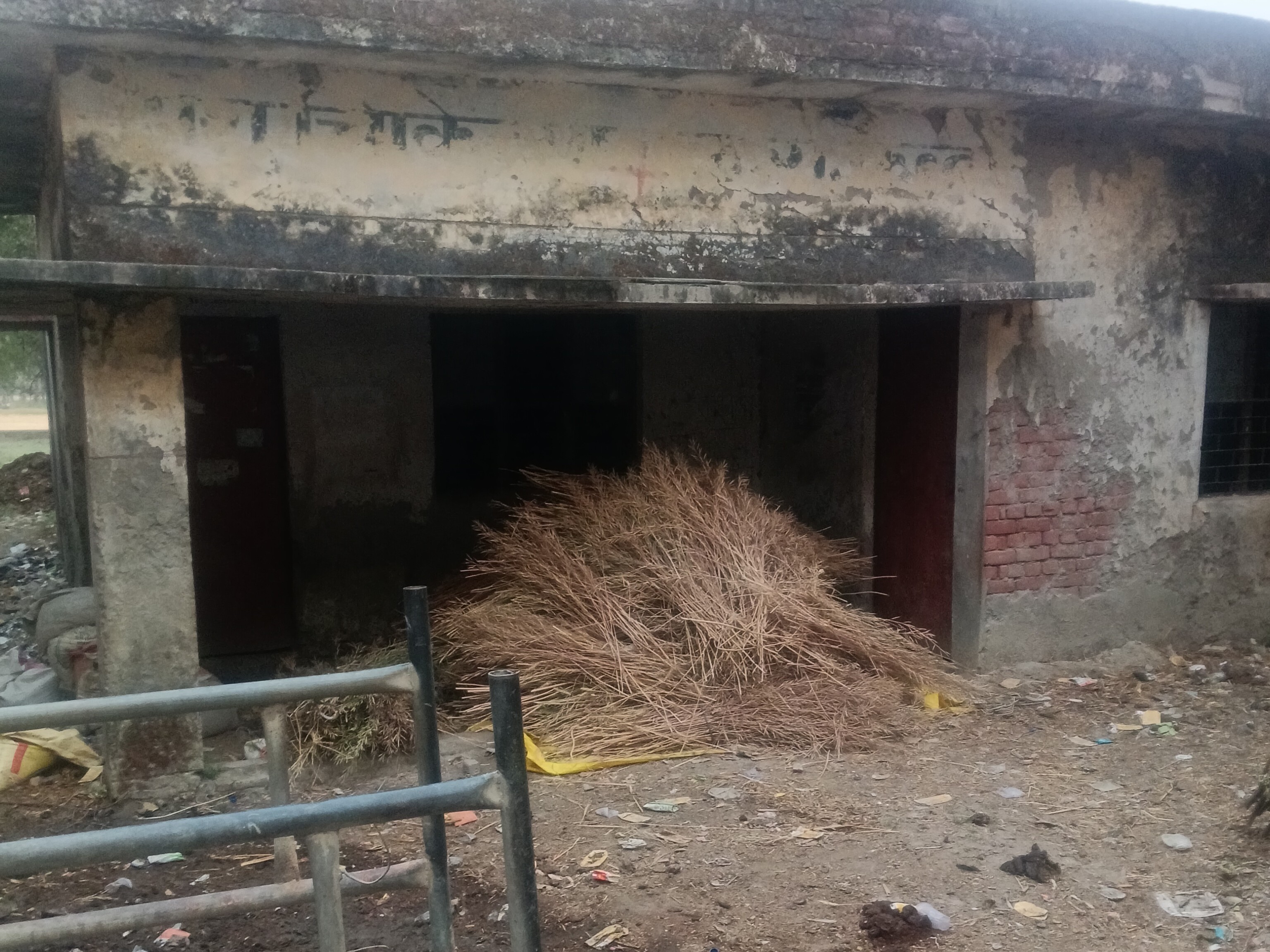 The condition of the animal hospital in Mangura Bazaar is worrying ...