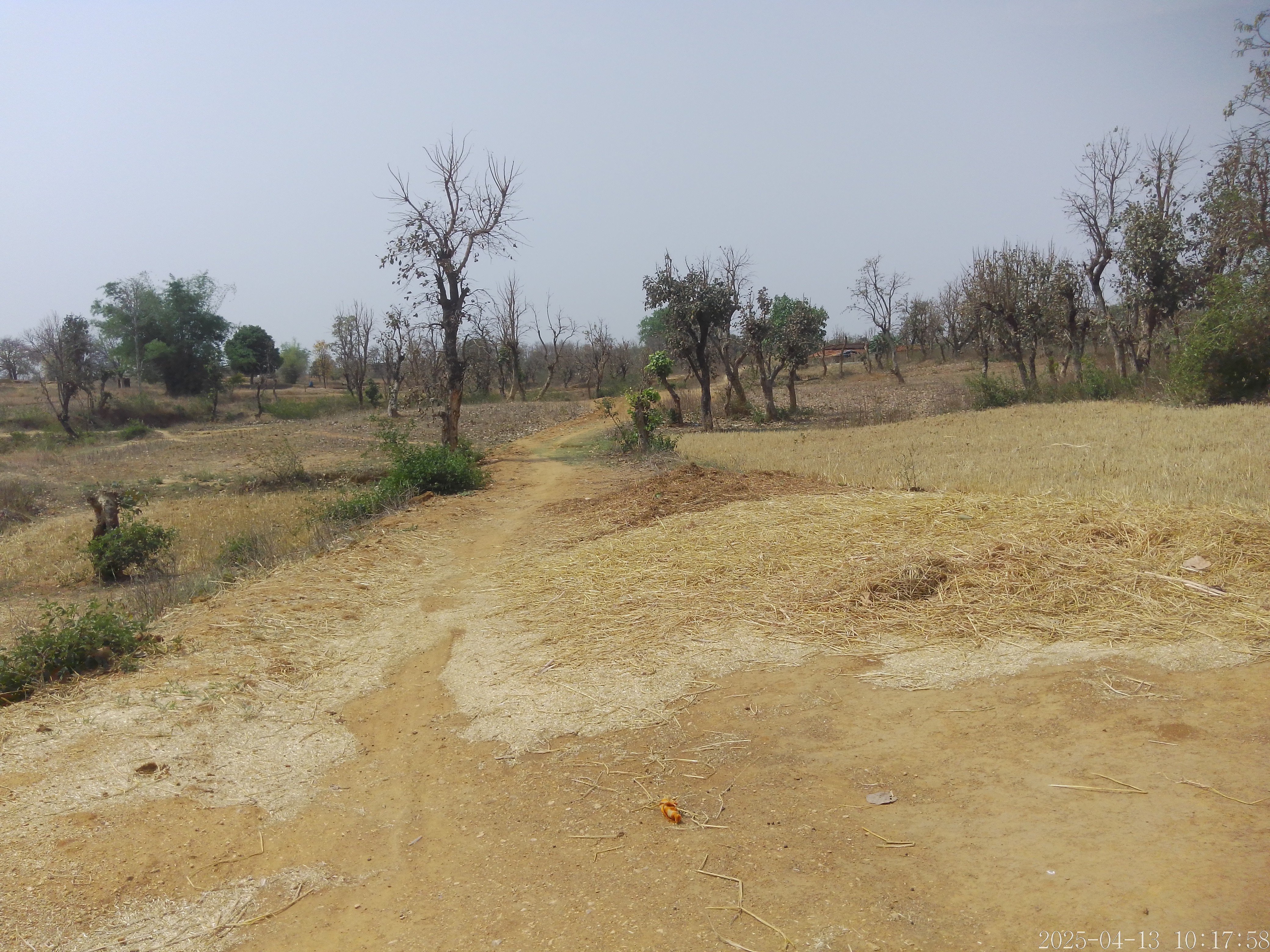 Naxal-affected Bodradar Tola in Babhani plunged into darkness | बभनी ...