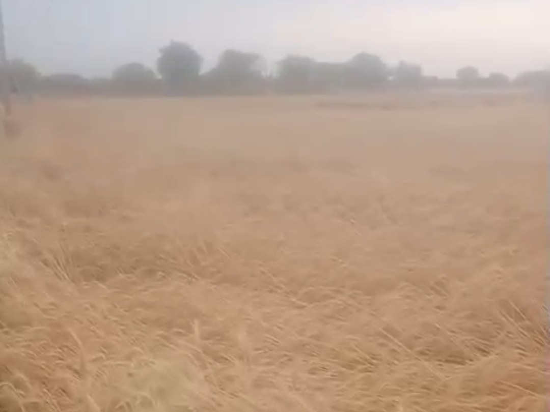 Weather will remain clear in Mainpuri for 4 days