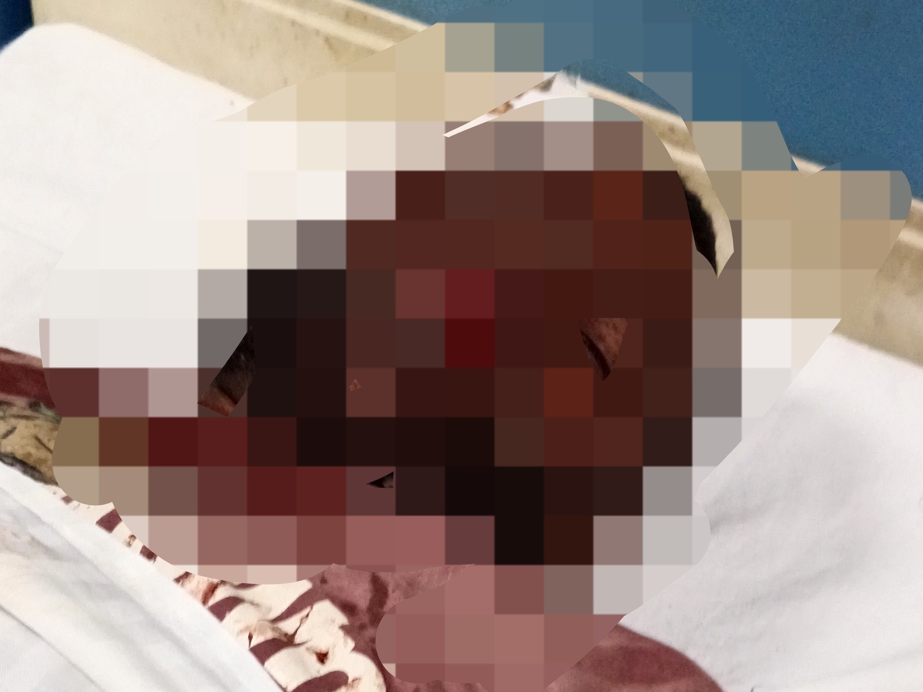 Pickup hit a bike rider in Bahraich