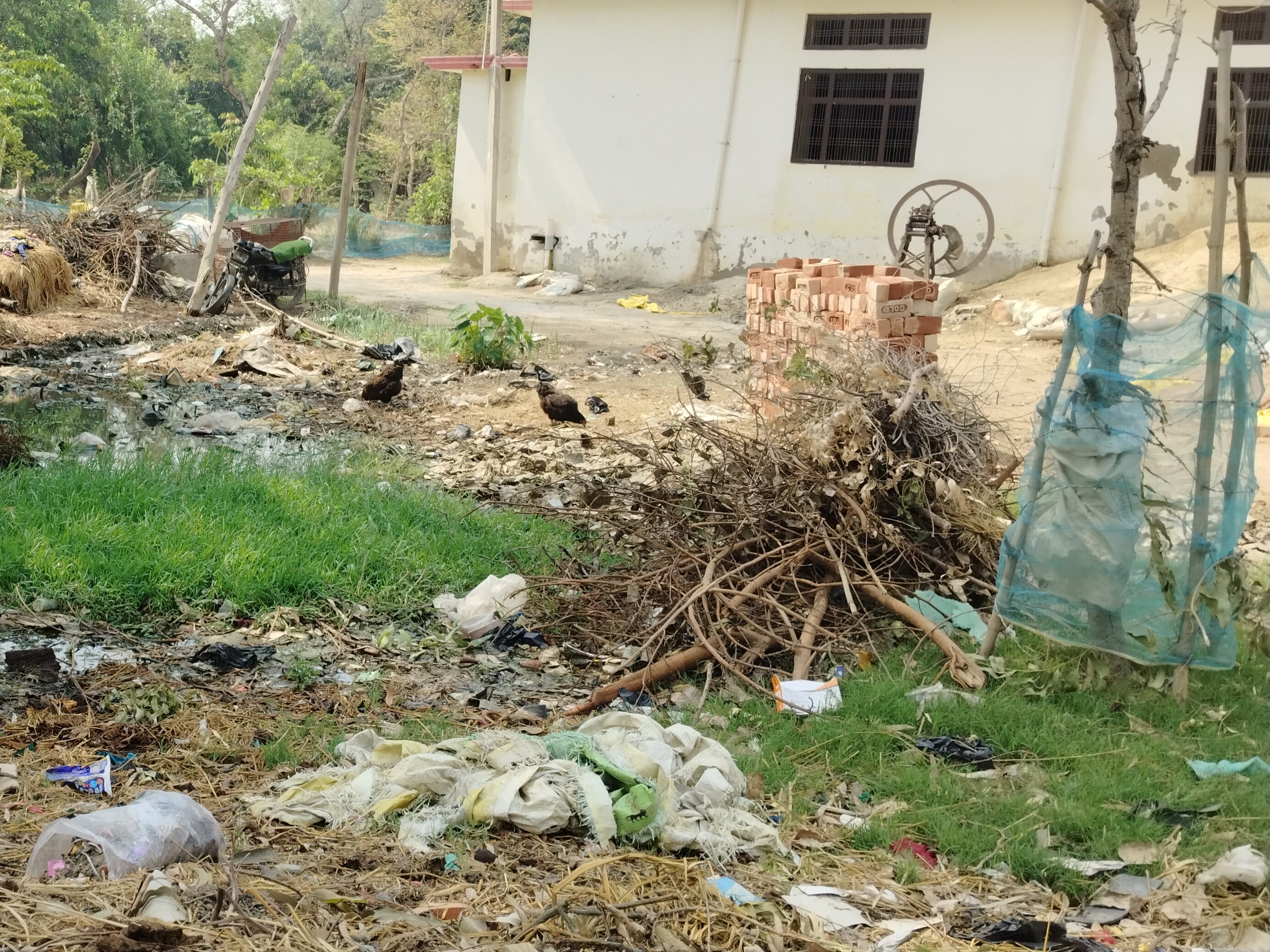 Drainage problem in ODF Plus village