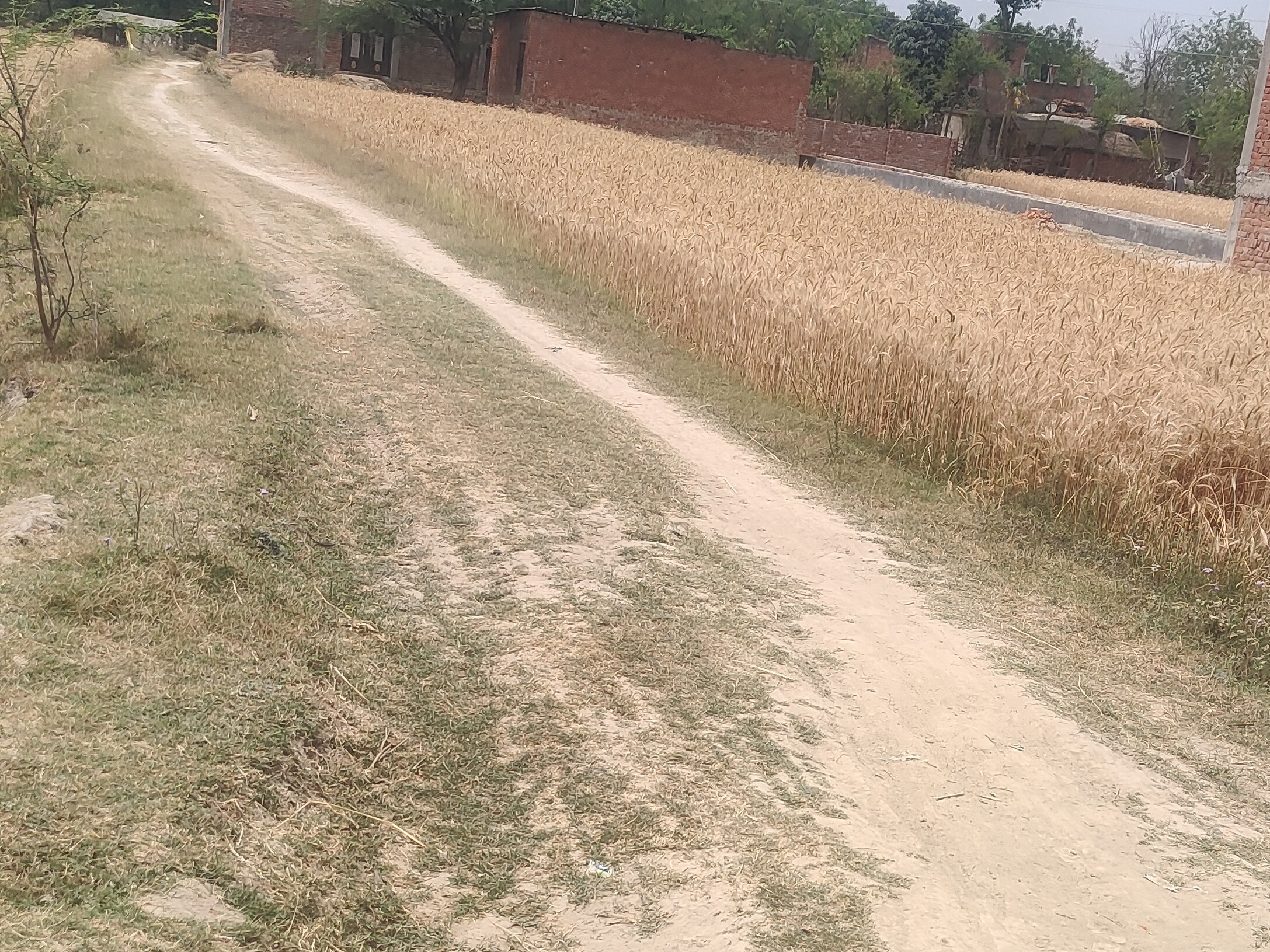 Demand for Khadanja in Mubarakpur | मुबारकपुर में खड़ंजा की मांग: कच्ची ...