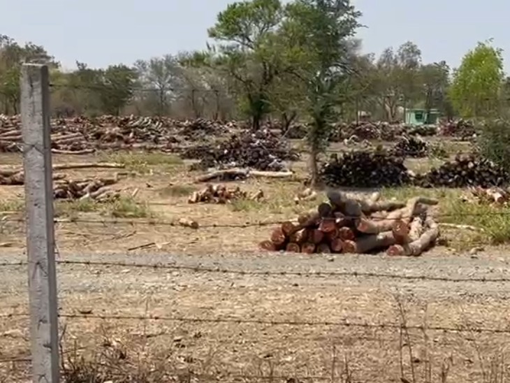 Beat guard suspended for selling wire fencing worth Rs 13.65 lakh | 13. ...